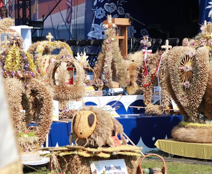 Urząd Gminy w Tłuchowie